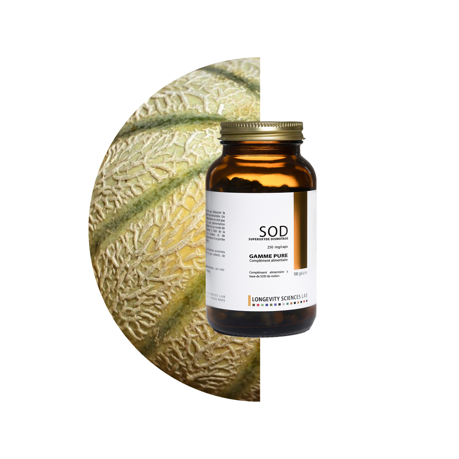 Nos Protocoles physiologiques | Longevity Sciences Lab